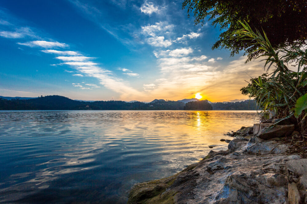 Proteus Partnership - ContourGlobal